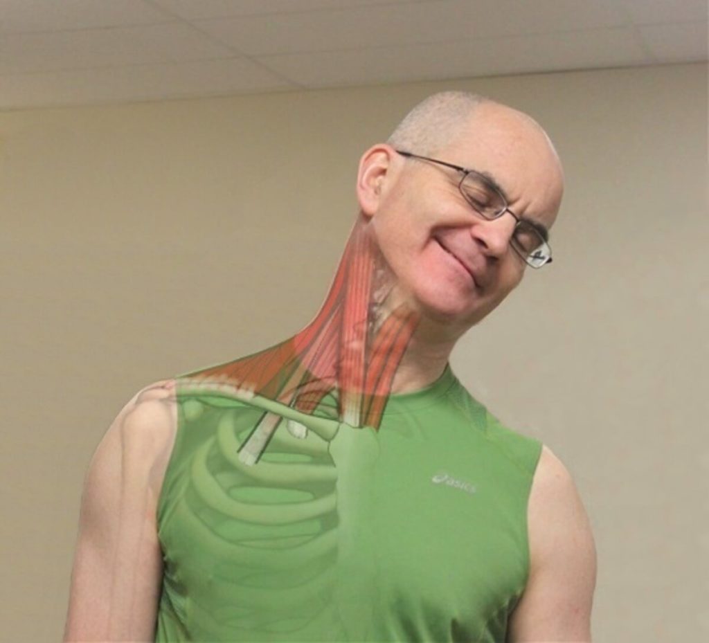 Advanced Medical Massage & Movement Therapies for the Neck Webinar, 6 ...